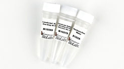 NEB LunaScript Multiplex One-Step RT-PCR Kit (Cat No. E1555) – Kinovett ...