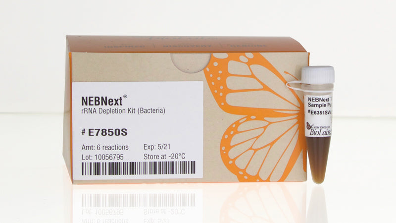 NEB NEBNext rRNA Depletion Kit (Bacteria) with RNA Sample Purification ...